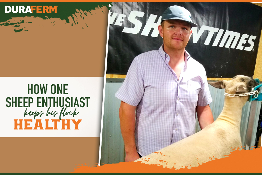 How One Sheep Enthusiast Keeps his Flock Healthy - DuraFerm