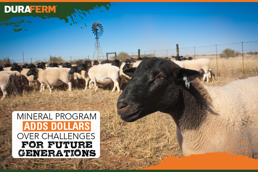 Mineral Program Adds Dollars Over Challenges for Future Generations ...