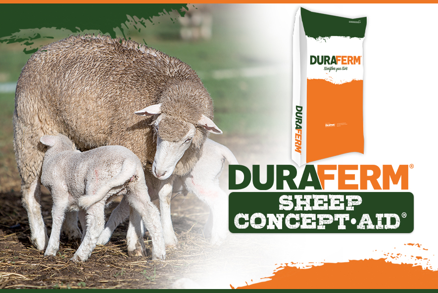 DuraFerm® Sheep Concept•Aid® - DuraFerm