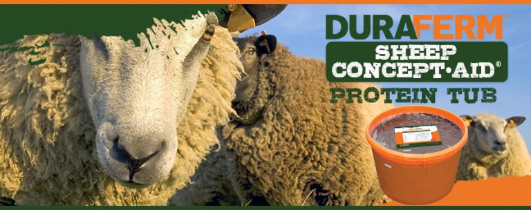 DuraFerm® Sheep Concept•Aid® Protein Tub - DuraFerm