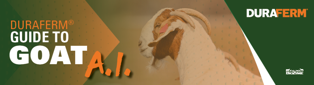 A Guide to Goat AI - DuraFerm