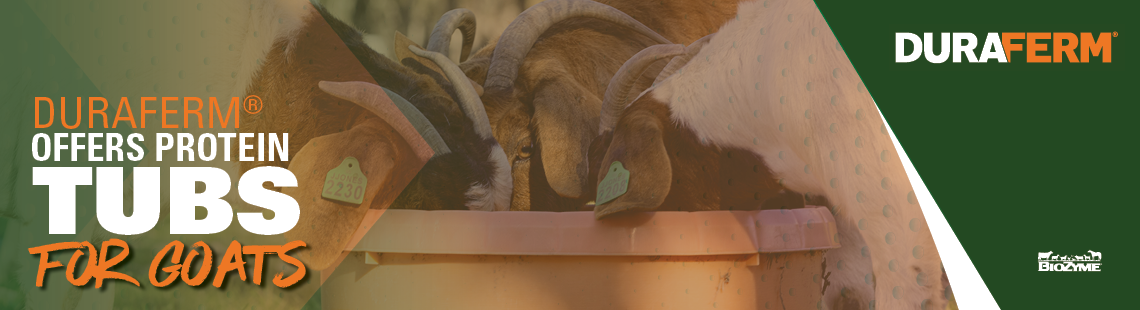 DuraFerm® Offers A Protein Tub for Goats - DuraFerm
